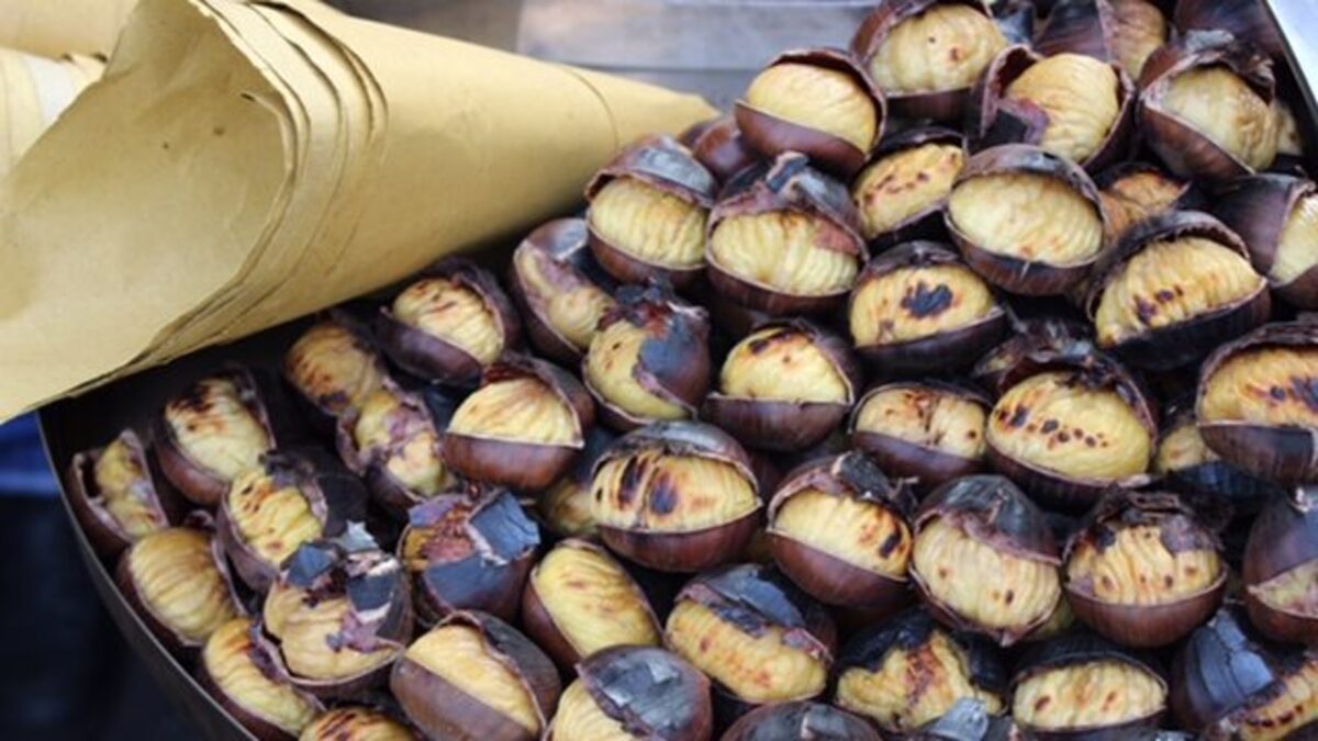 Chestnut roaster from Pienza - Flavor of Italy (Wendy Holloway)