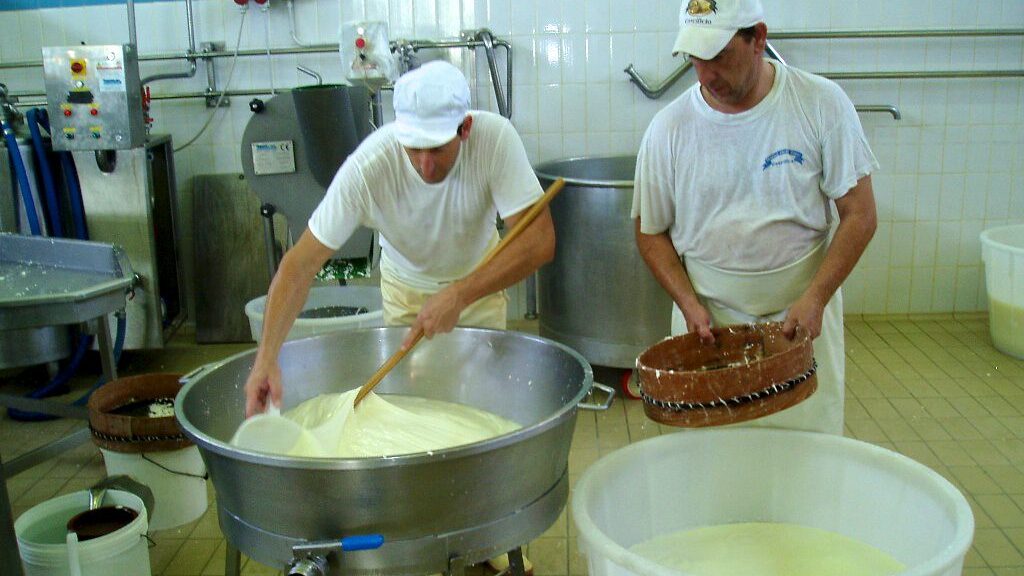 Mozzarella production, a medieval hill town & a winery visit - Flavor ...