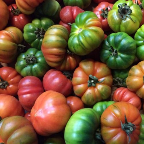 Tomatoes in Italy - Flavor of Italy