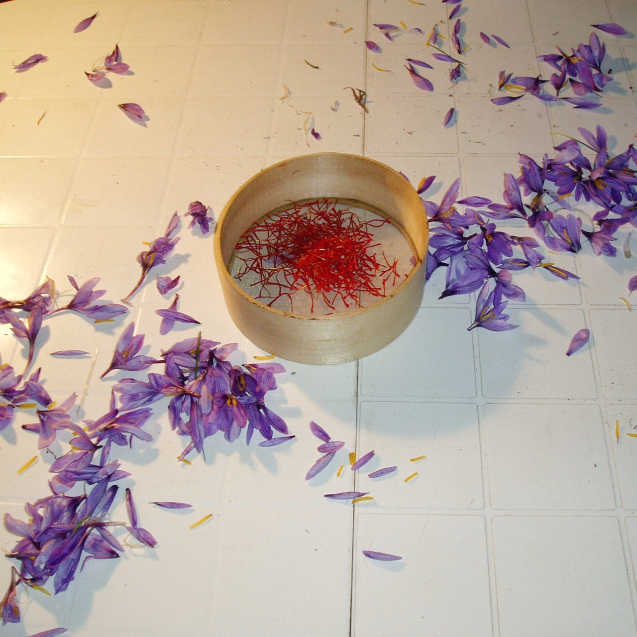 A Look at Italian Saffron & its Harvest - Podcast Episode 30 - Flavor ...
