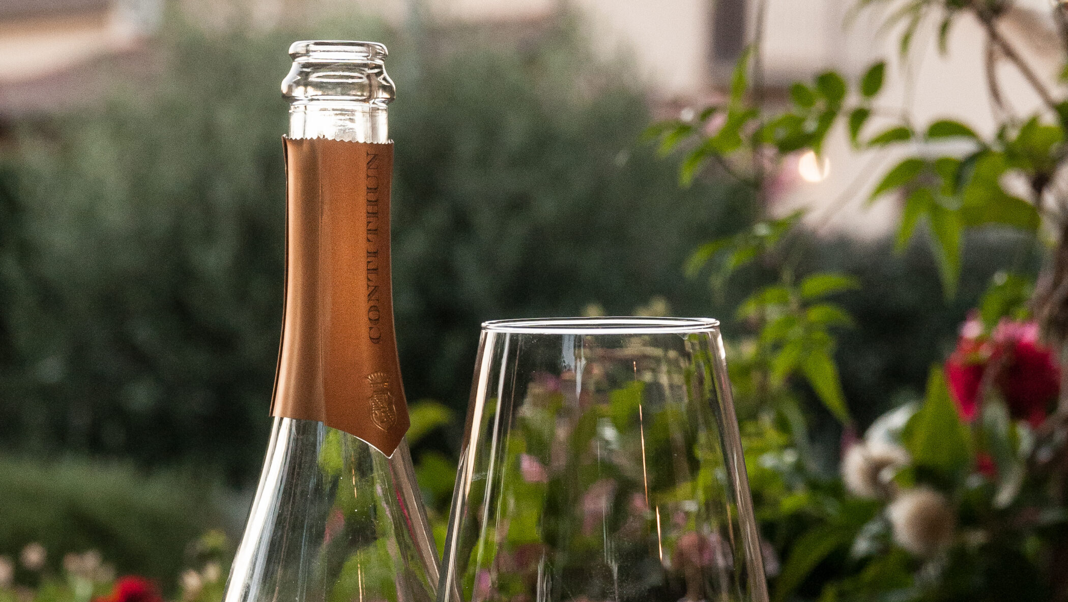The Valtènesi in the Lake Garda wine region, and two local grapes ...