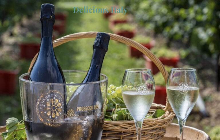 Venice: insider's guide to the best wines + 4 wineries to visit ...