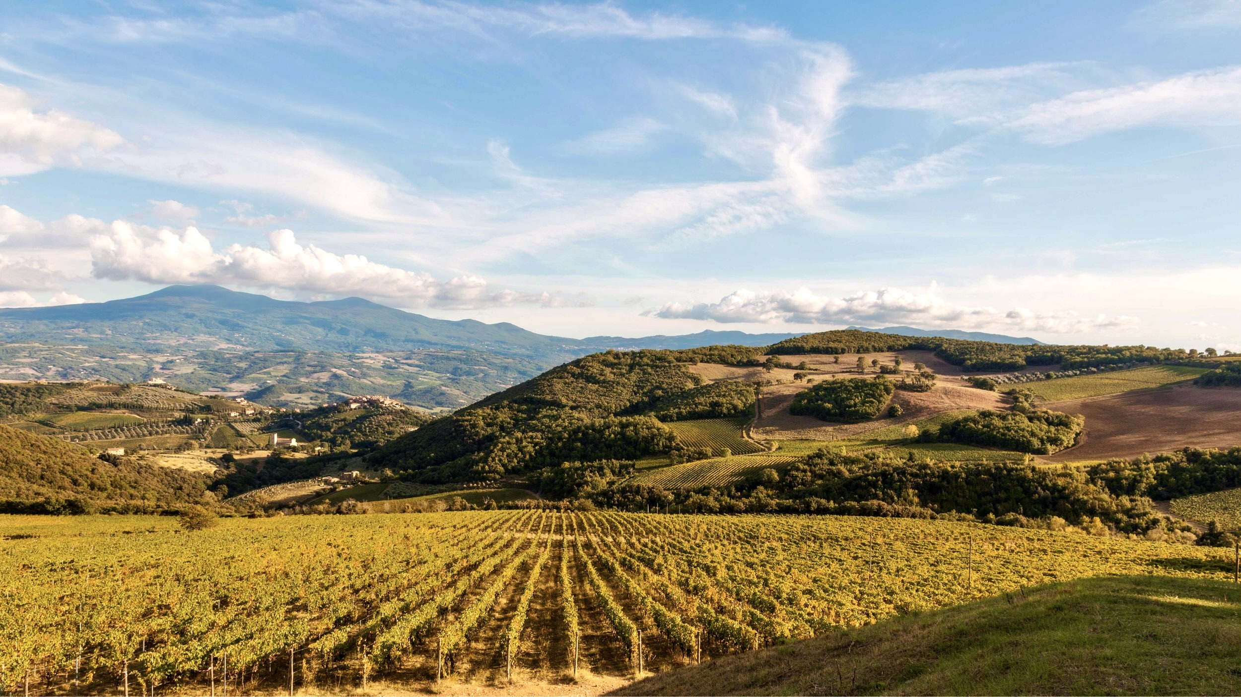 Montalcino and Brunello wine - Flavor of Italy (Wendy Holloway)