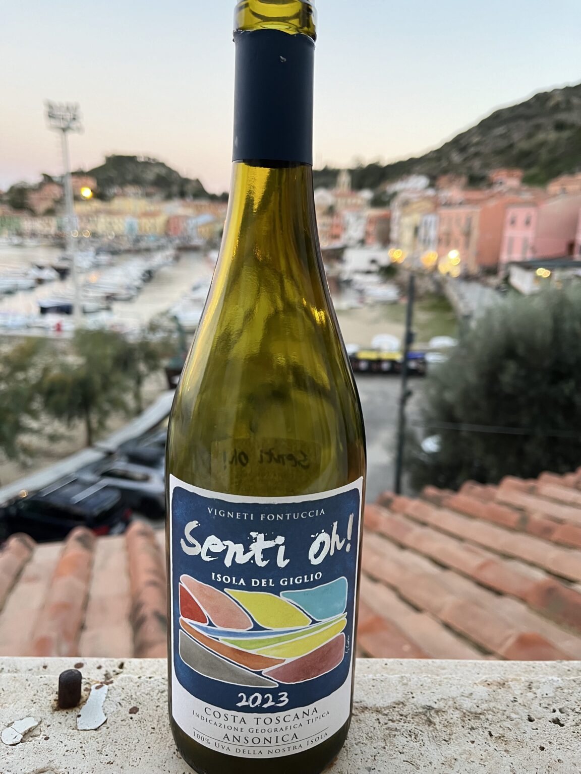 Giglio Island: The Definitive Guide for Travelers - Flavor of Italy ...