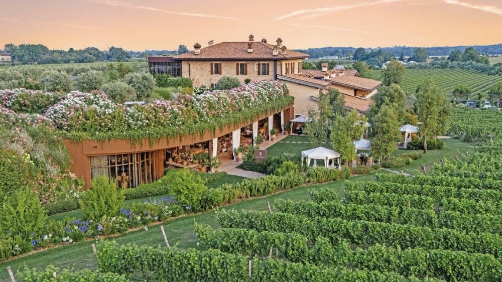 Exploring the Valtènesi Lake Garda Wine Region - Flavor of Italy (Wendy ...